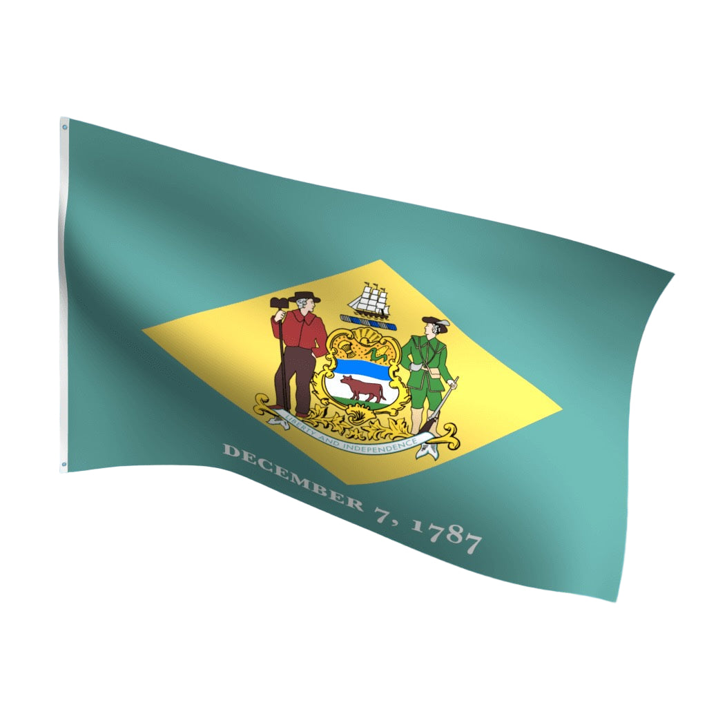 Delaware Polyester Flag Nylon Flag – Durable Outdoor State Flag ...